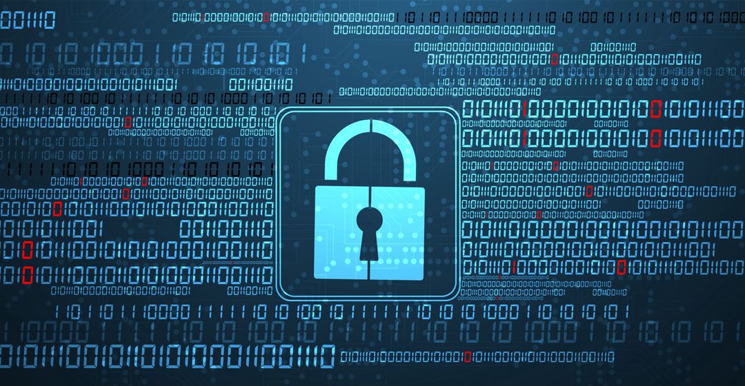 What is Data Privacy?