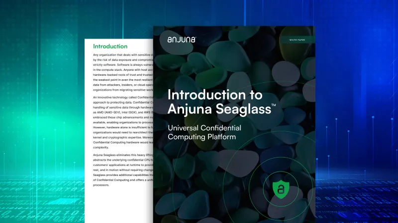 Resource Library | Anjuna Security