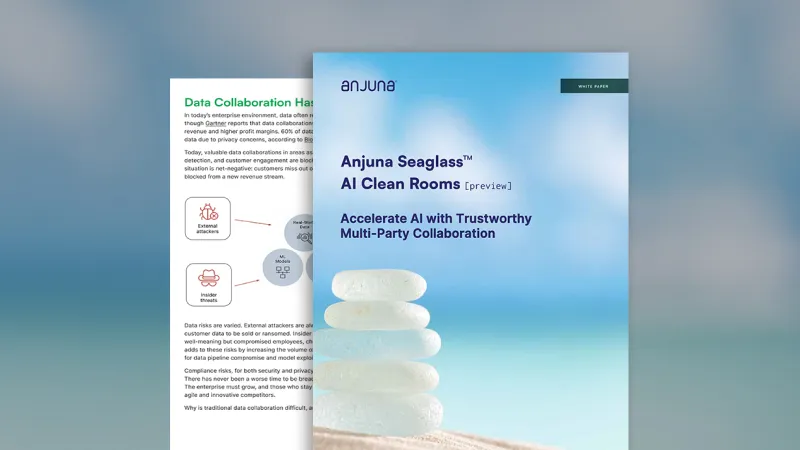Anjuna Seaglass™ AI Clean Rooms
