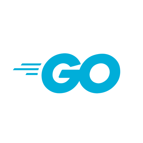 Release: Go analyzer lands in beta - DeepSource