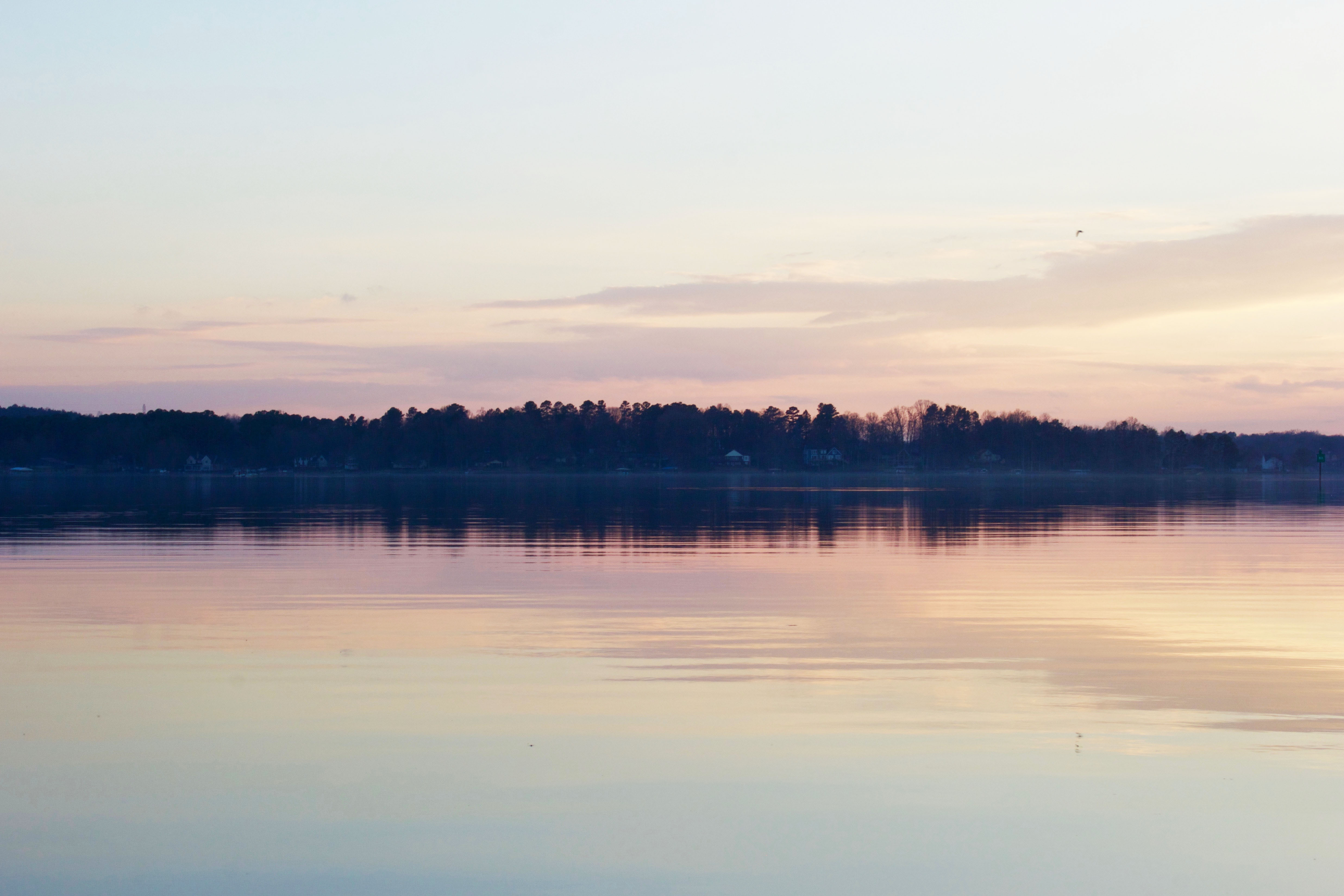 White Paper Learnings: Substantial Improvement and Substantial Damage ...