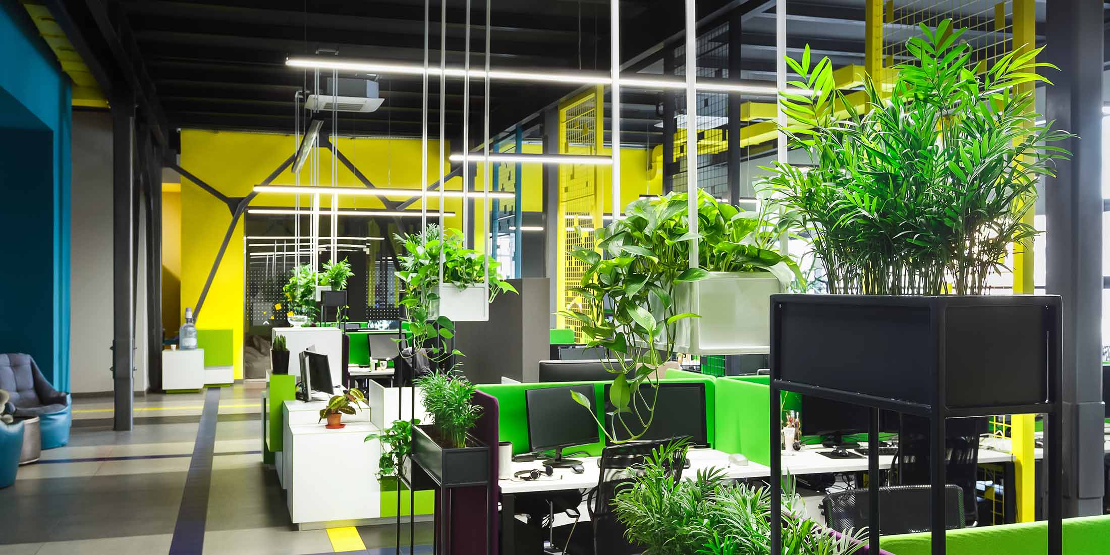 Why Does Every Office Need LED lights?