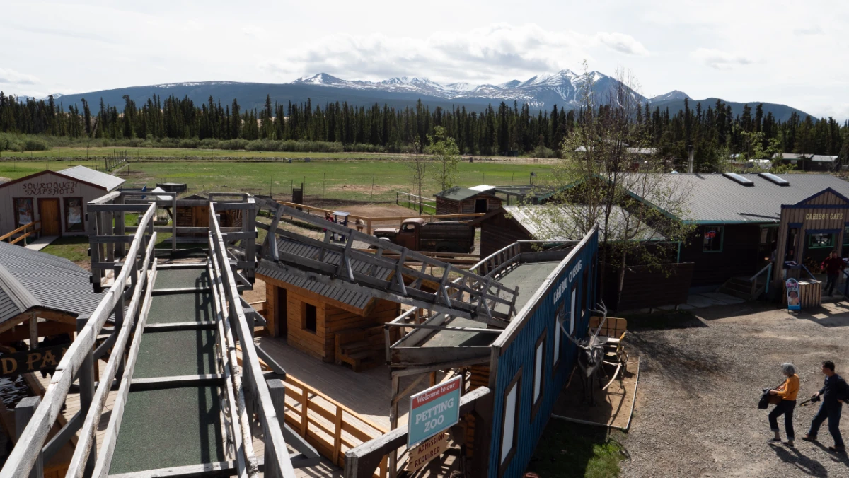 Gallery | Wild Adventure Yukon