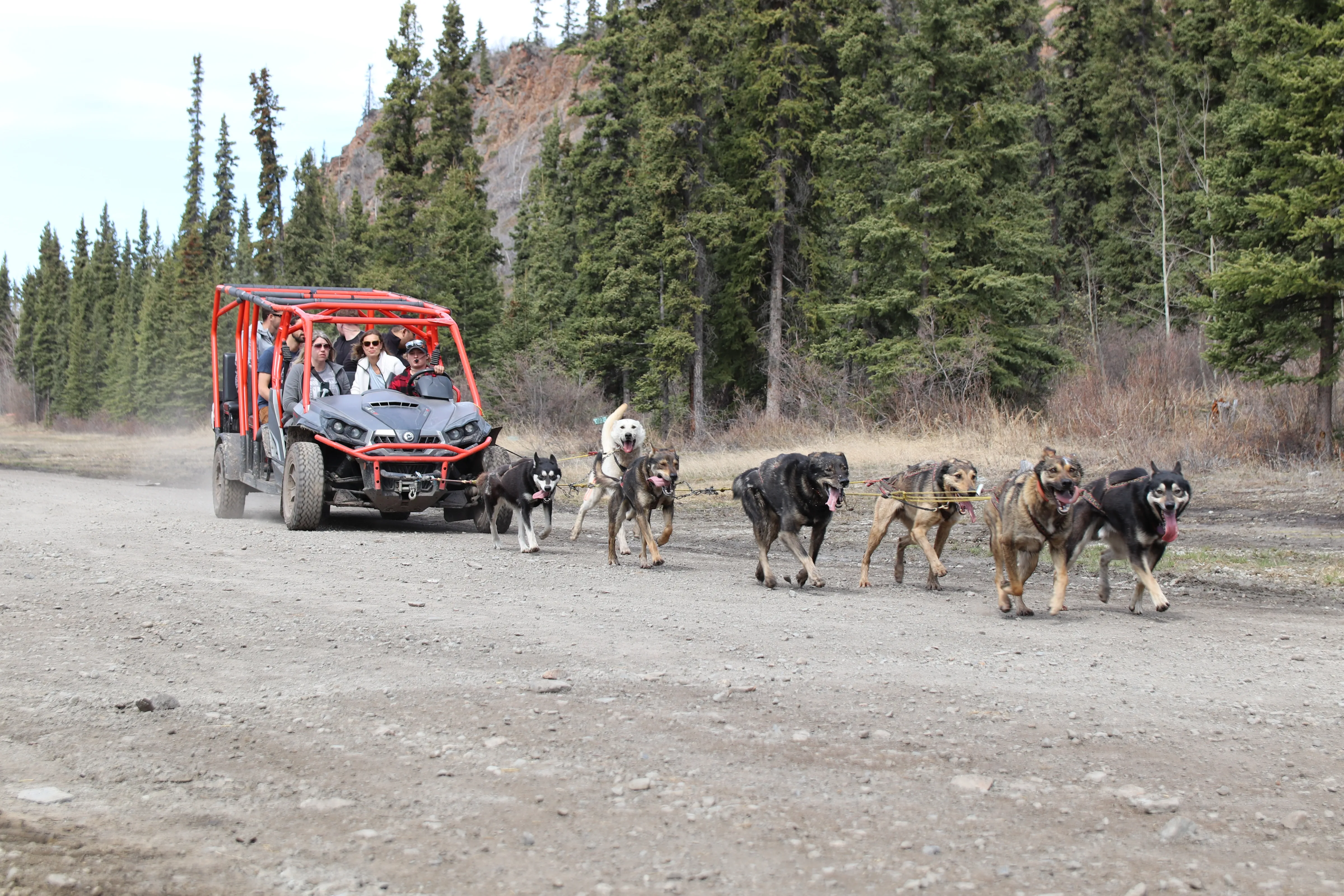 Gallery | Wild Adventure Yukon