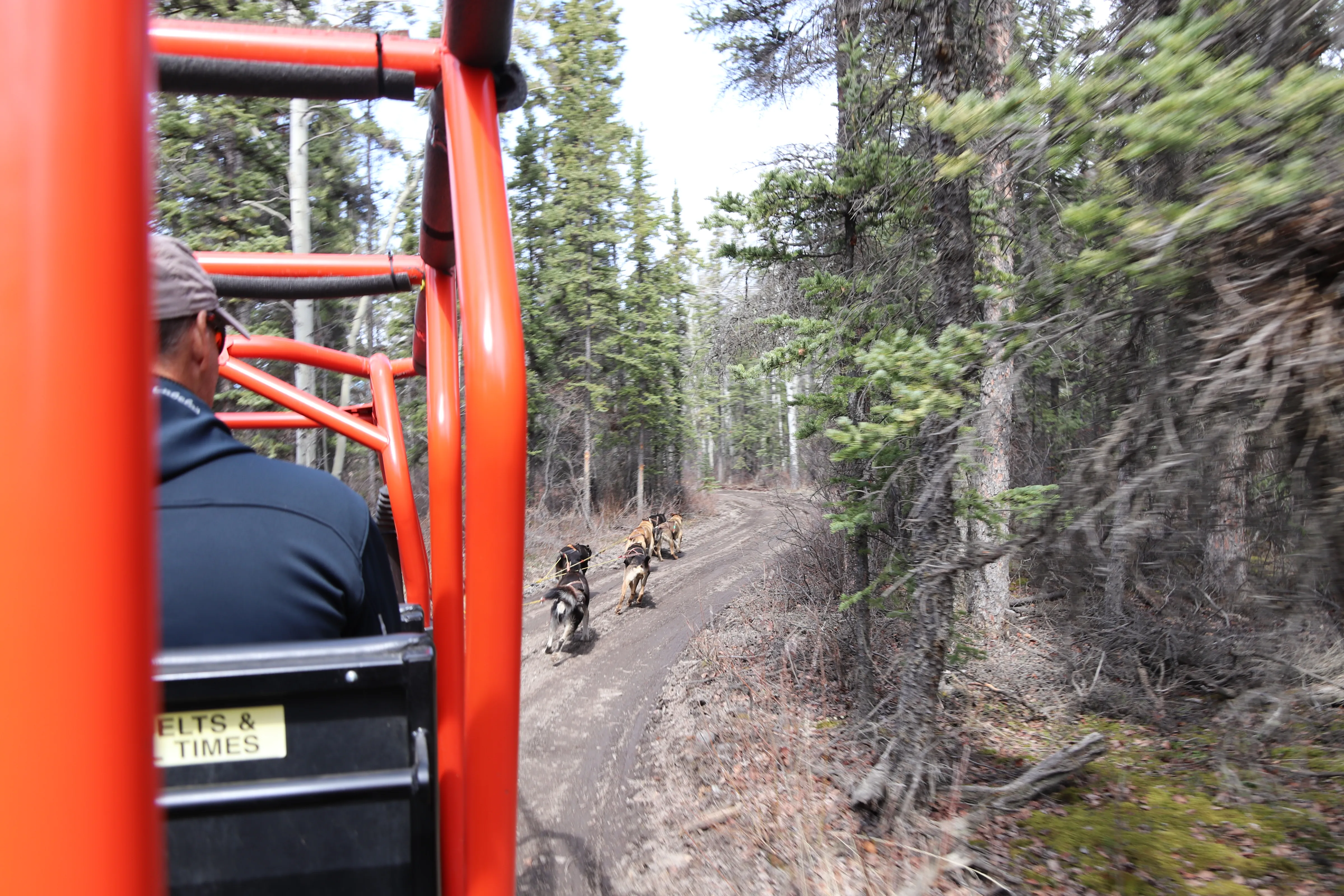 Gallery | Wild Adventure Yukon