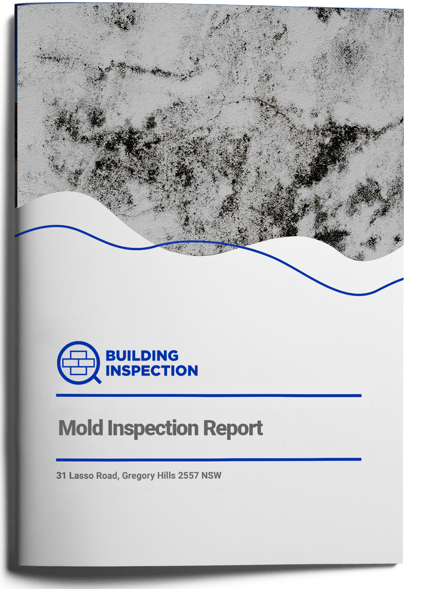 Mold Inspection Report - Building Inspection App