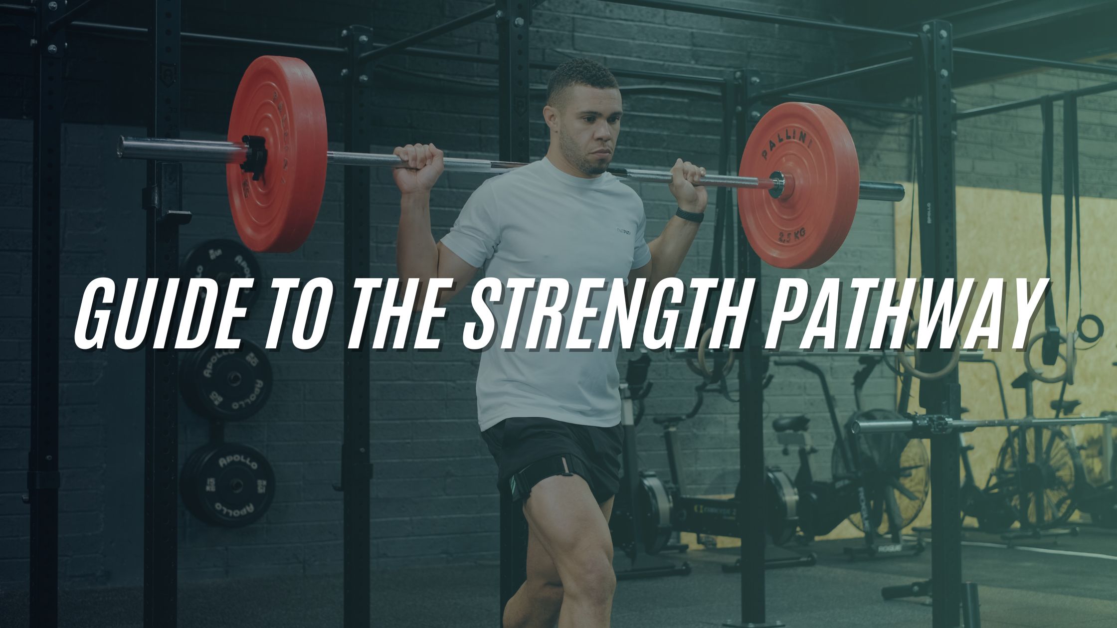 Output Sports Guides