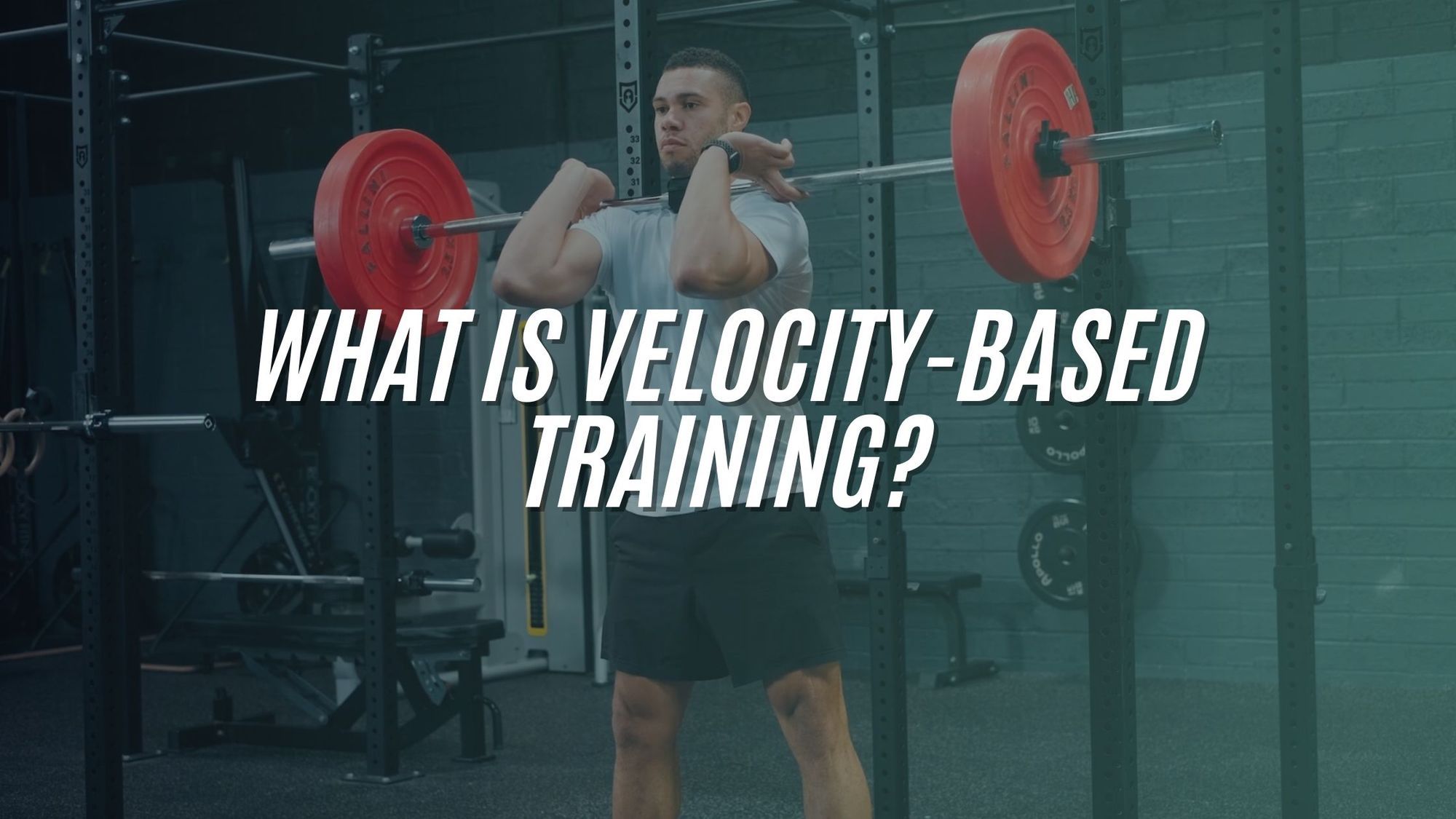 Velocity-Based Training Education Hub