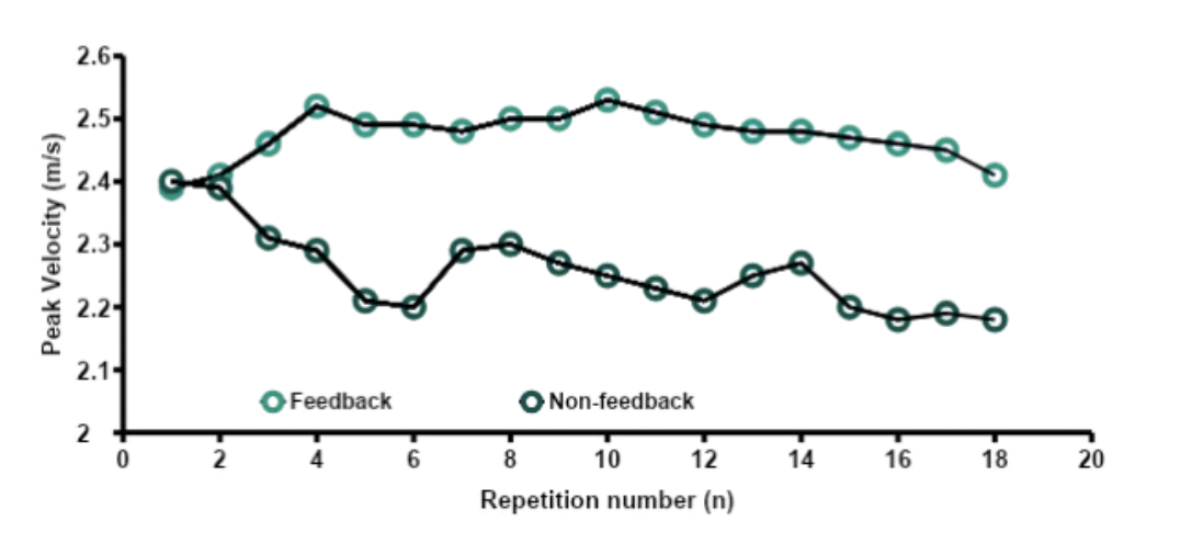 Velocity-Based Training Applications
