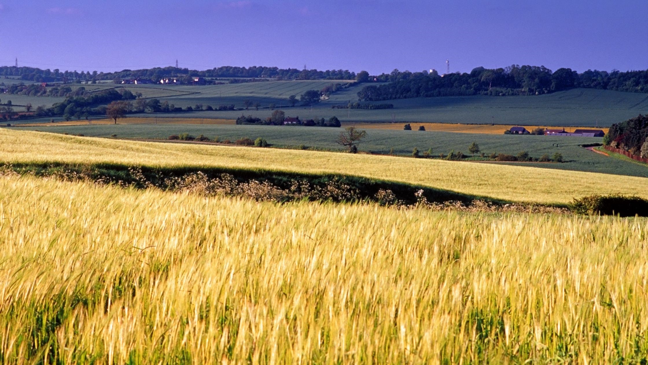 Agricultural Land Classification: What This Means For Developers