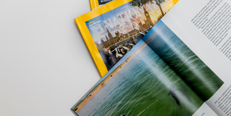 Learn the terminology and standard elements that make up a typical ...