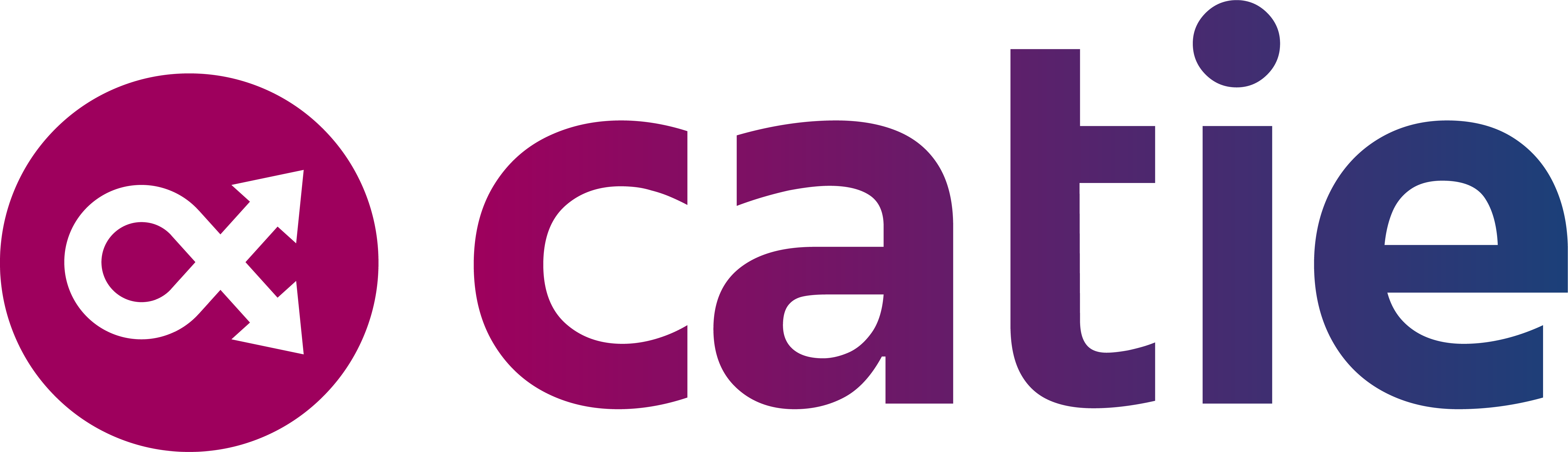 CATIE - Comprehensive Program for Adaptive Interventions Training in ...