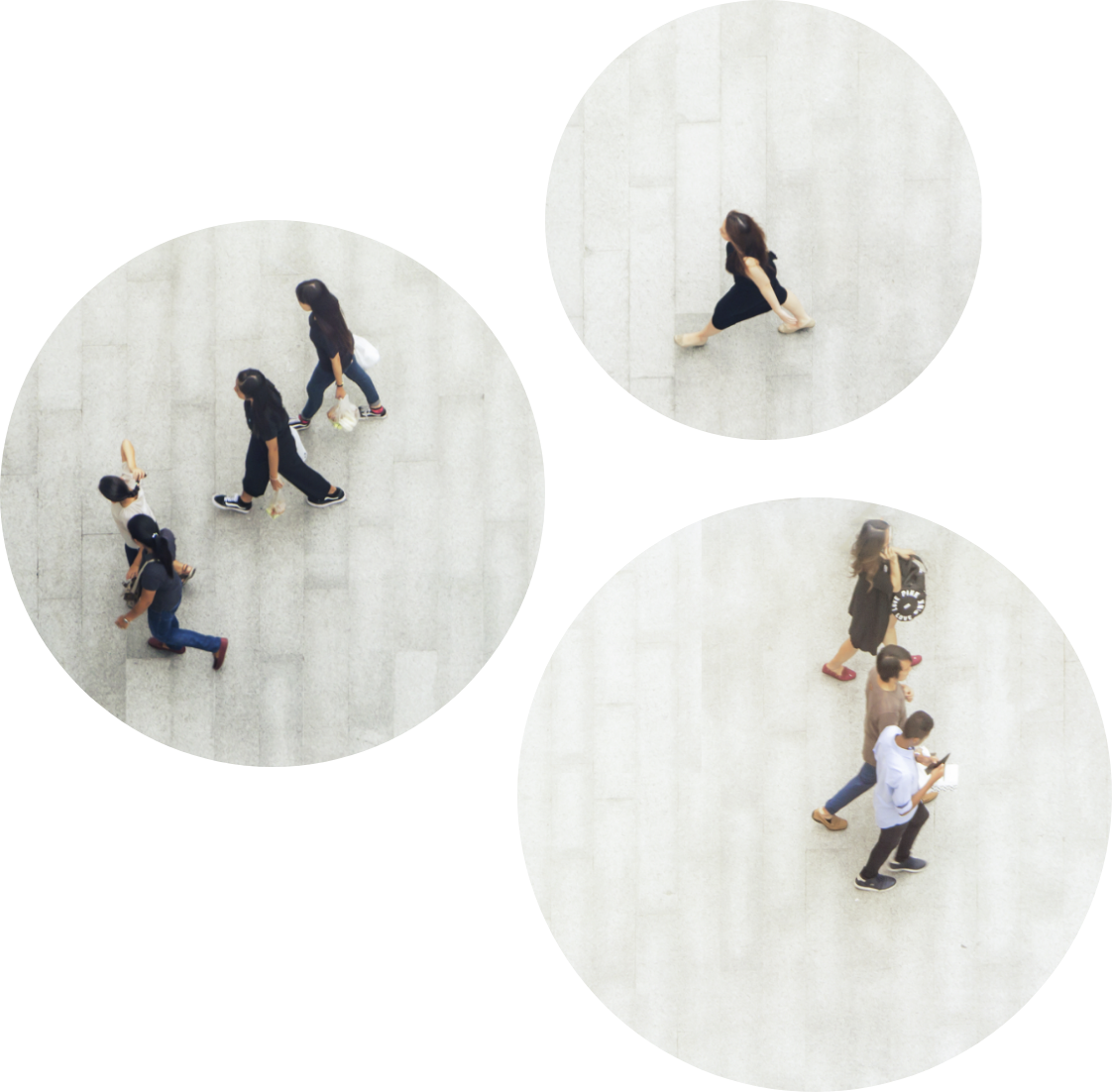 Leaders at Truescope