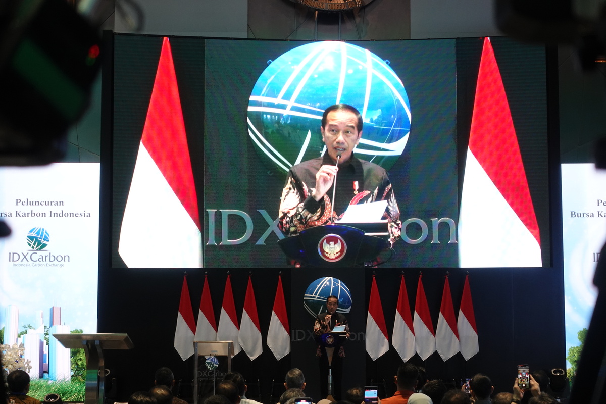 IDXCarbon: A Revolutionary Step in Indonesia’s Carbon Trading