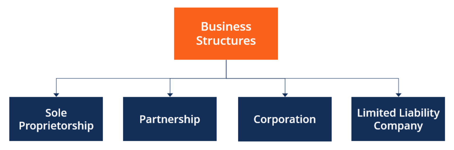 Company Registration Process : Your Step-by-Step Guide of 2024