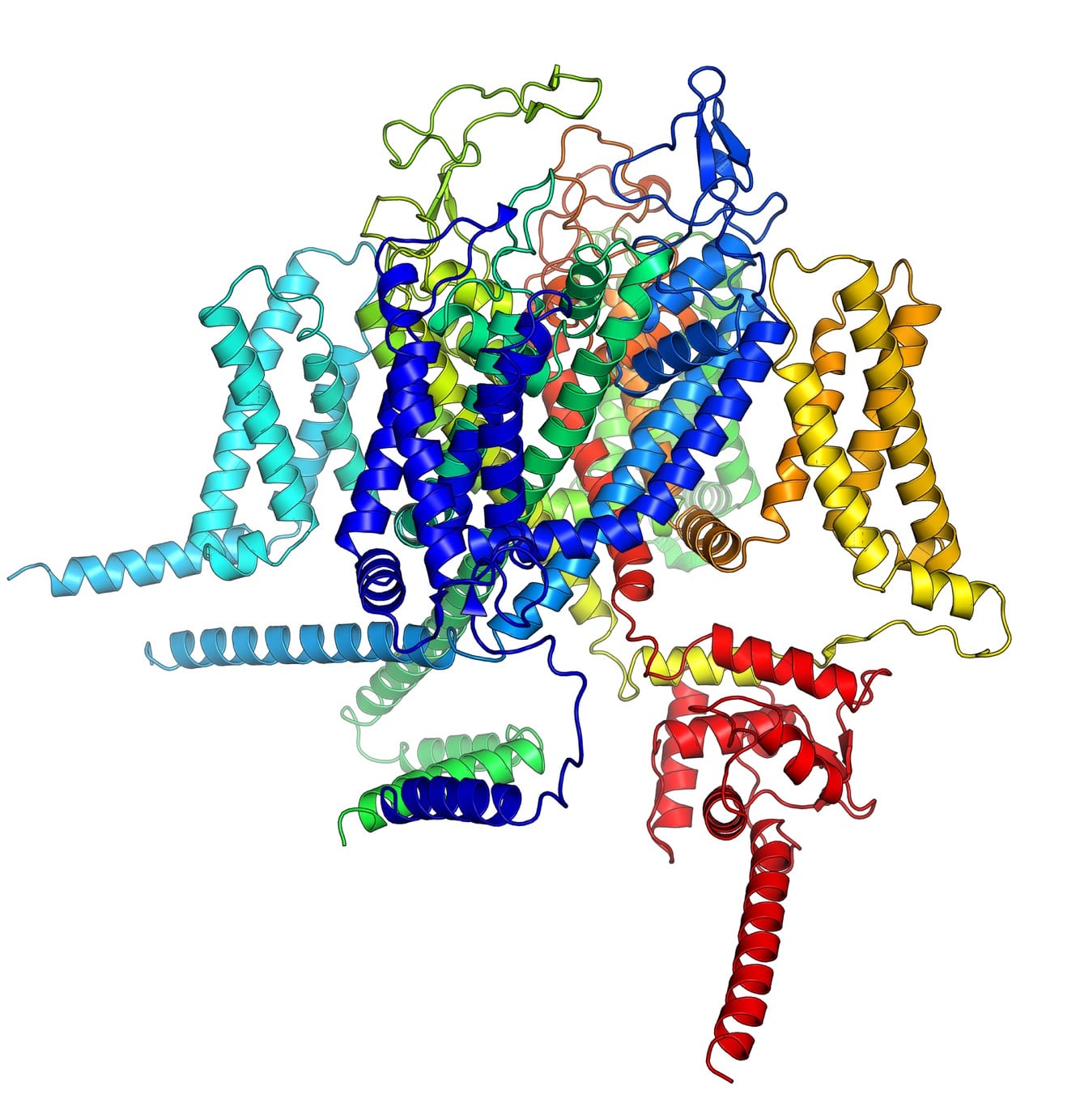 CAC1A_HUMAN - CACNA1A - O00555 | Eurofins Calixar