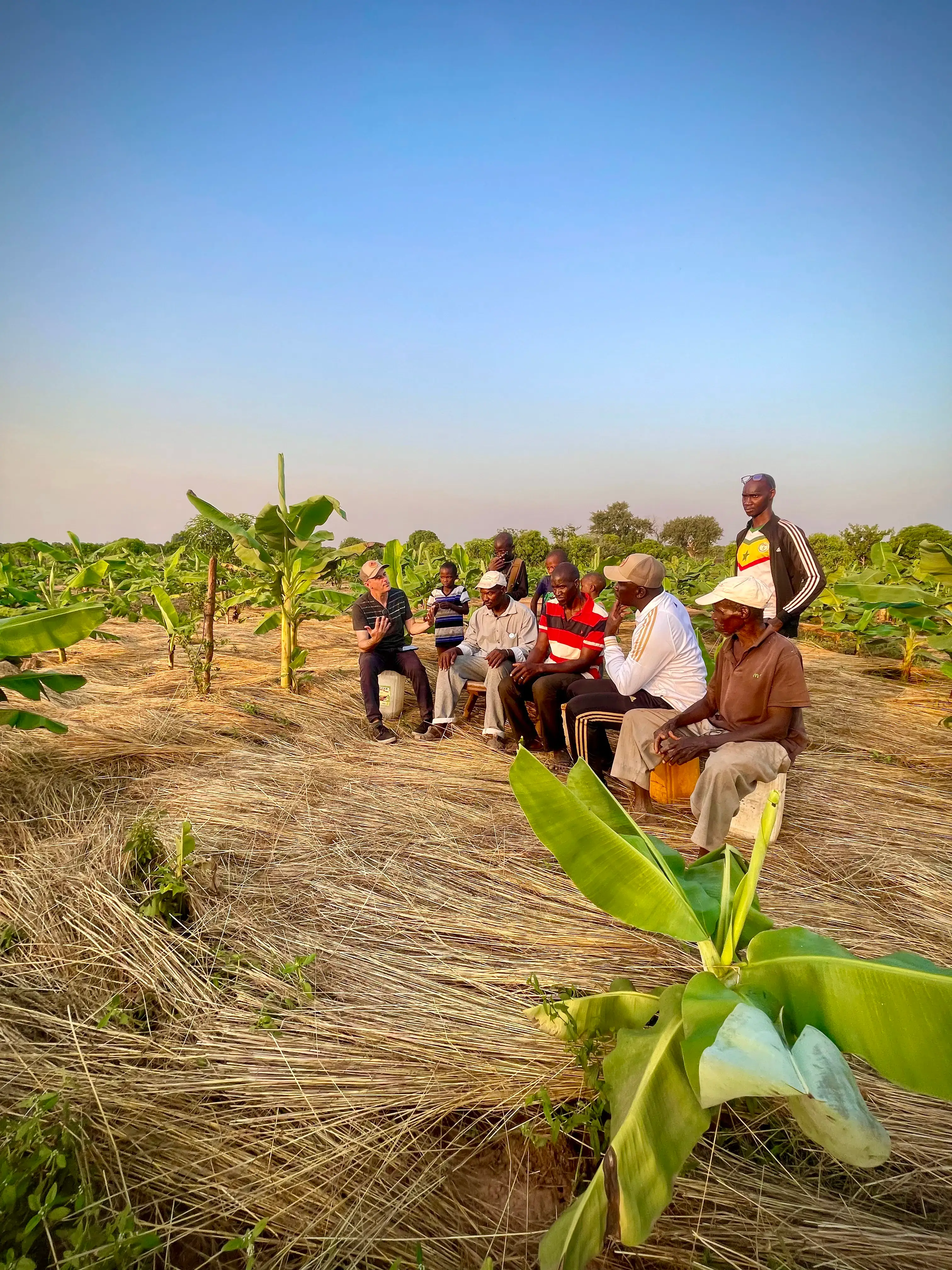 Mother Trees | Life. Prosperity. Legacy.