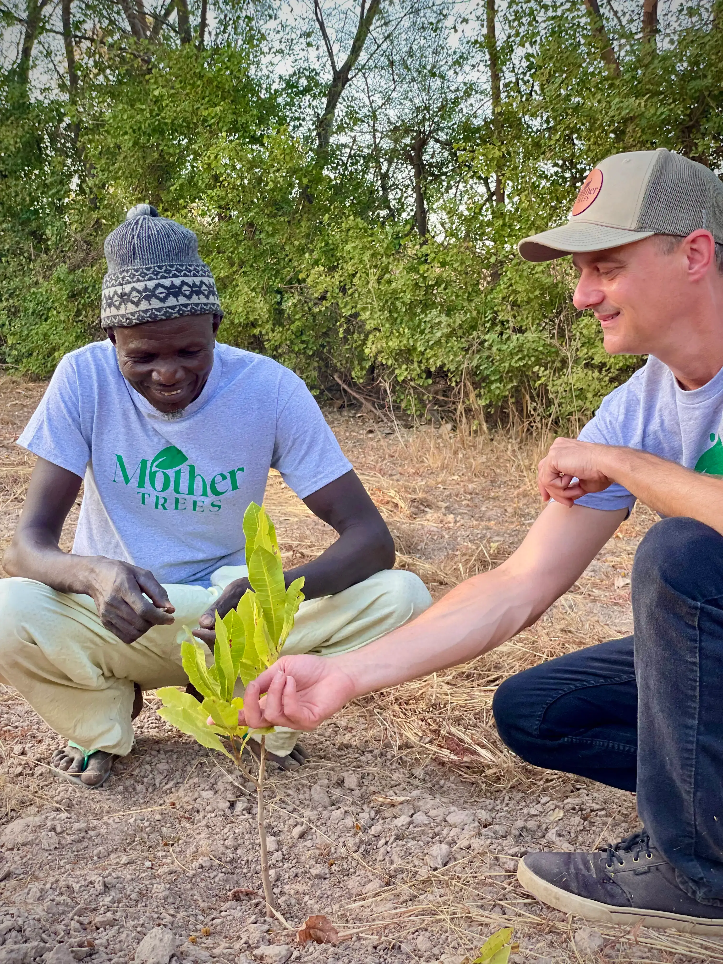 Mother Trees | Life. Prosperity. Legacy.