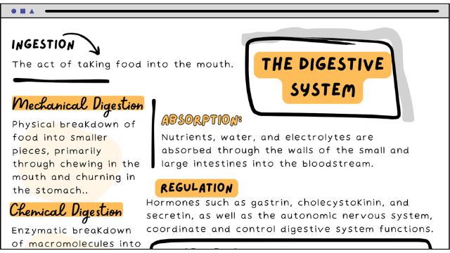(FREE) TEAS 7 Test Study Guides & Cheat Sheets
