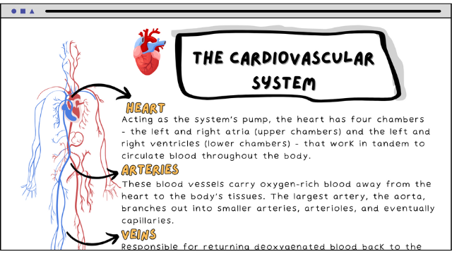 (FREE) TEAS 7 Test Study Guides & Cheat Sheets
