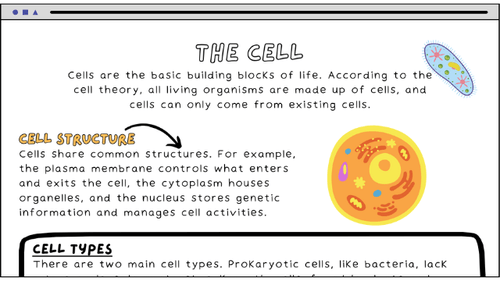 (FREE) TEAS 7 Test Study Guides & Cheat Sheets