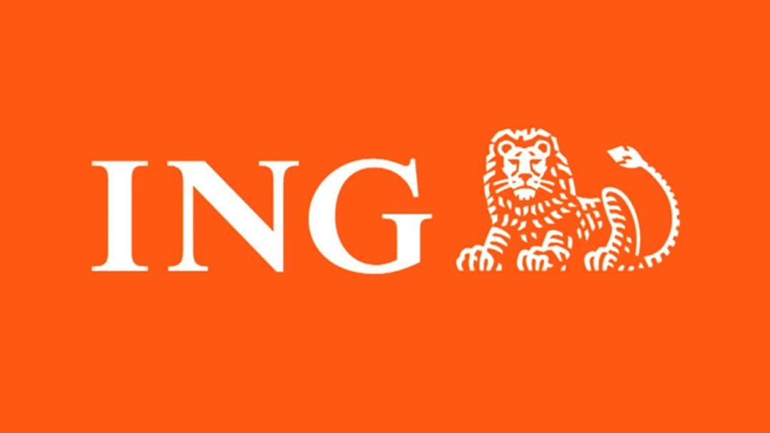 Strategy Study: The ING Bank Growth Study
