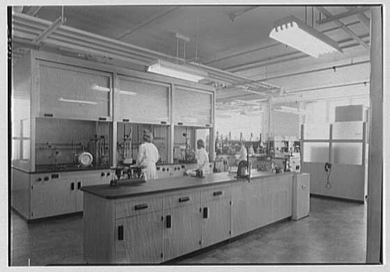 Strategy Study: How Roche Grew Through Research & Development