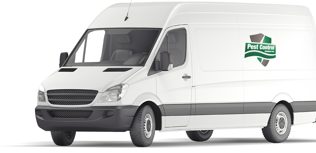 Las Vegas Pest Control | Pest Control Solutions, Inc.