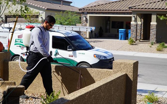 Home Pest Control In Las Vegas, NV & Southern CA | Pest Control ...