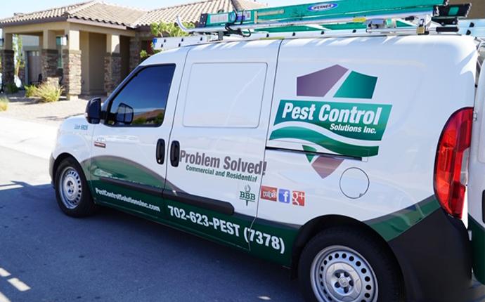 Home Pest Control In Las Vegas, NV & Southern CA | Pest Control ...