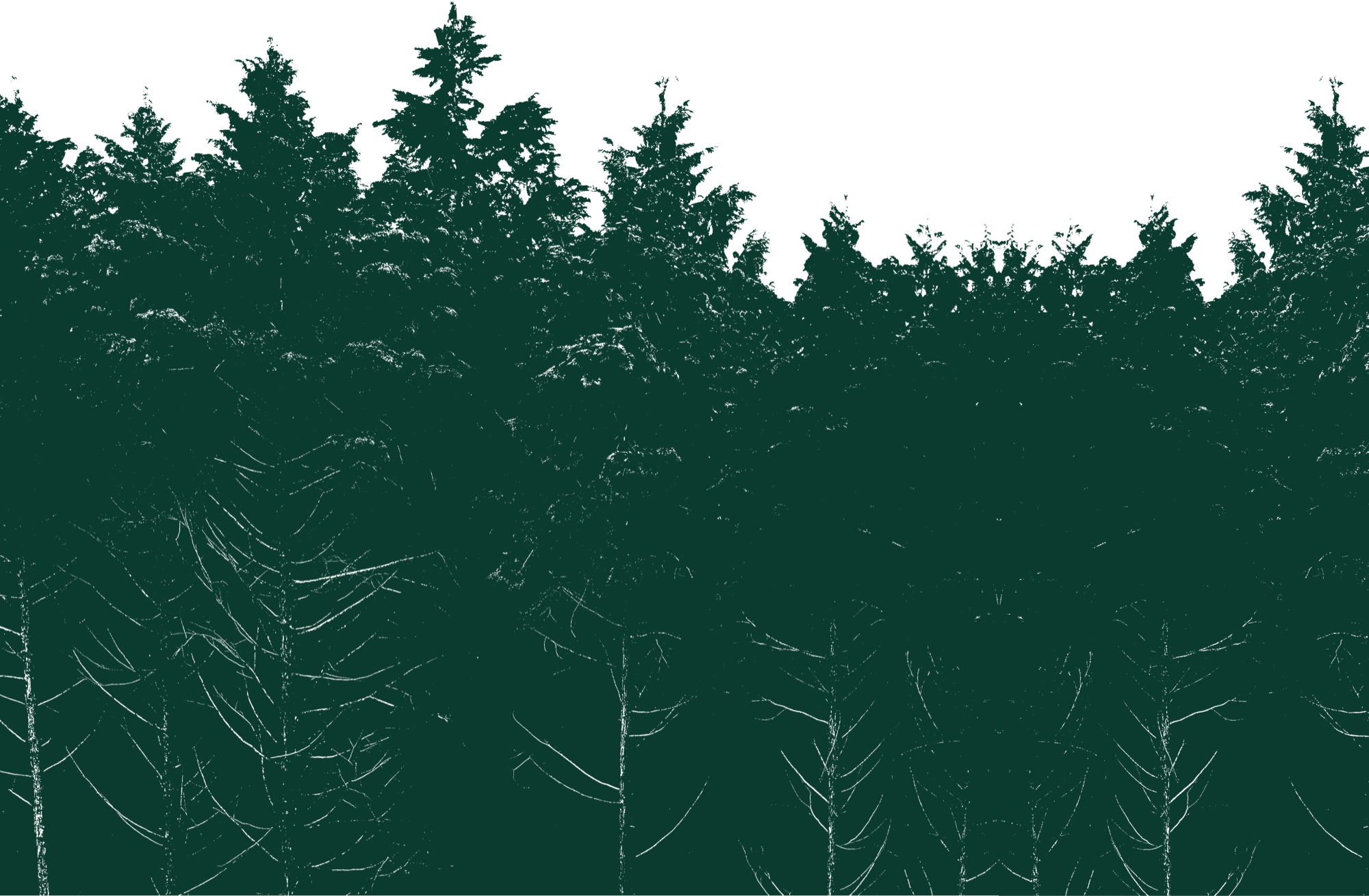 Dholakia Foundation - Sustainable Development in India