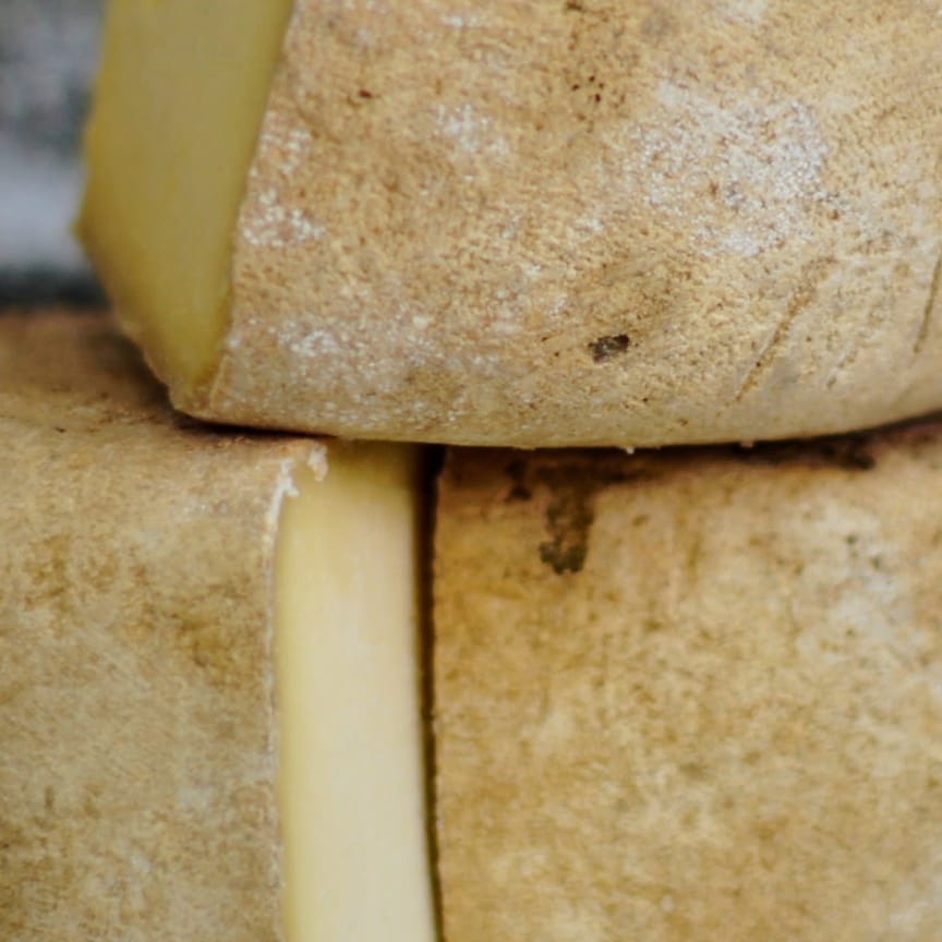 Portfolio - ReGen Ventures