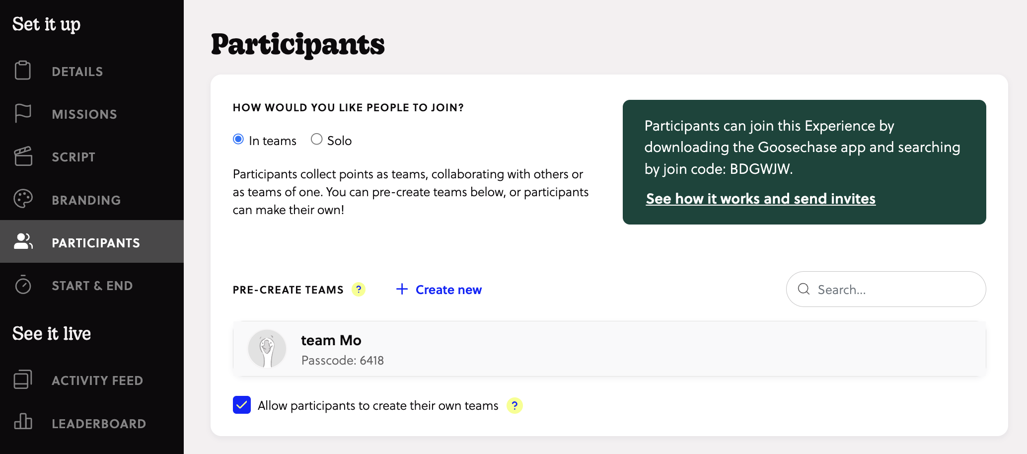 The Complete Guide to Goosechase’s scavenger hunt app - with screenshots and videos! - PlayTours