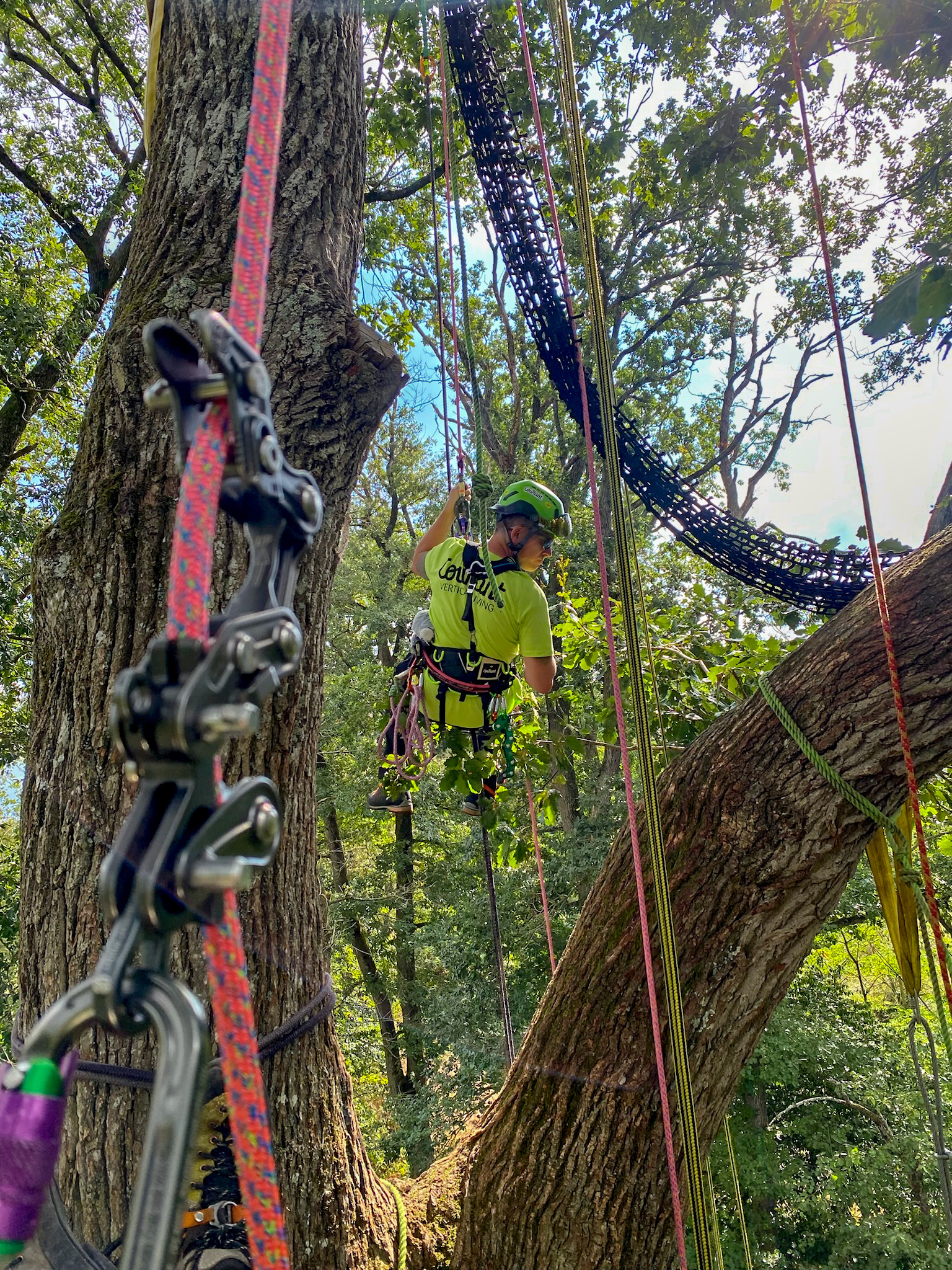 Do you need to label your ropes?