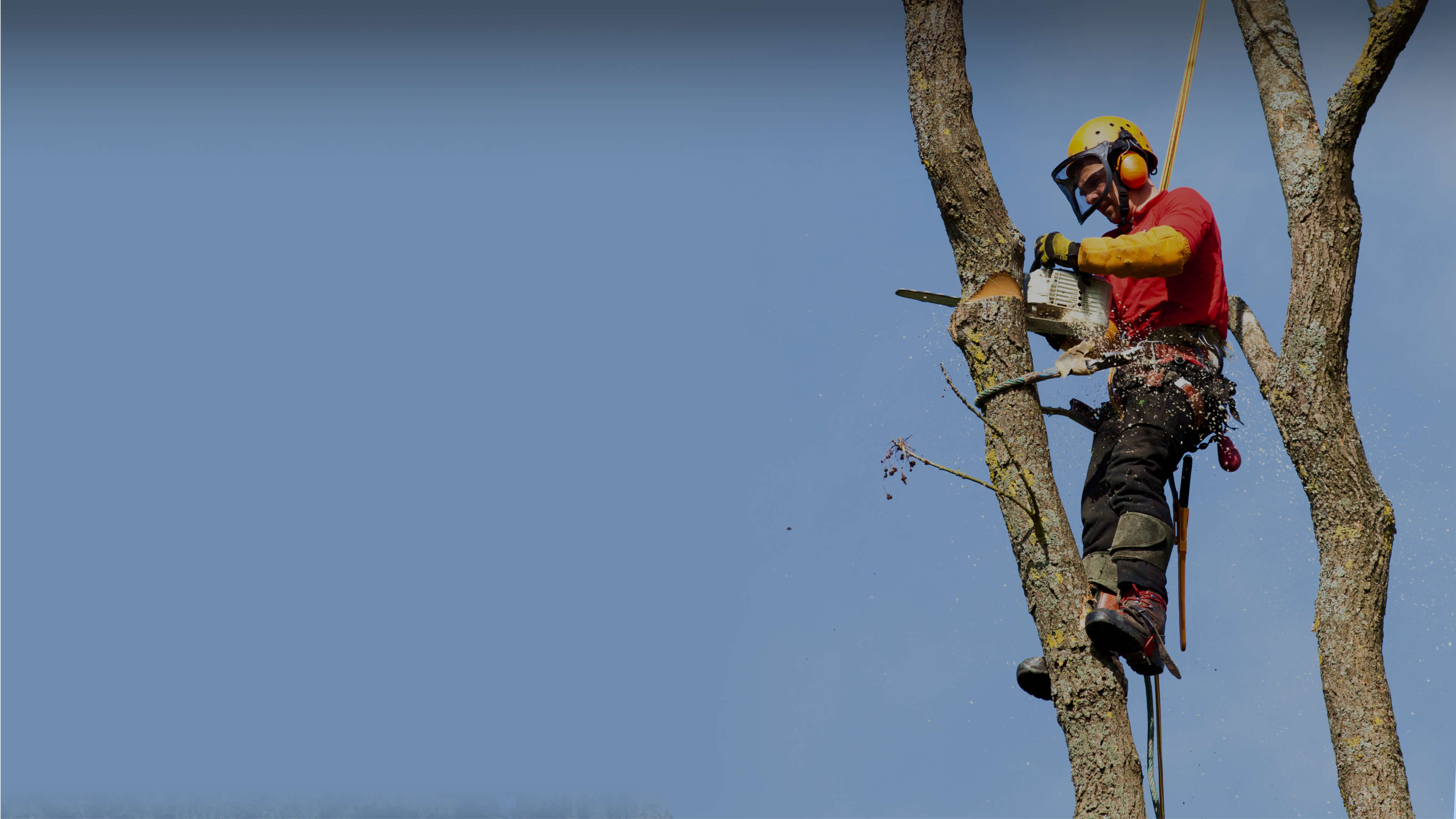 Scannable: PPE | Safety Equipment | Inspection Tools | Compliance ...