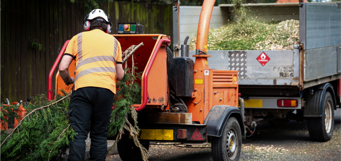 Scannable | Arboriculture