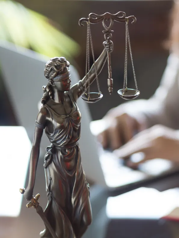 Coffin Law Case | Baby Food Autism Lawsuit