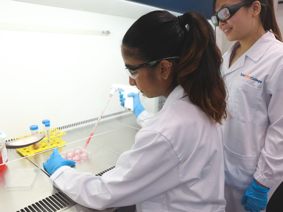 Majors, Minors, Electives