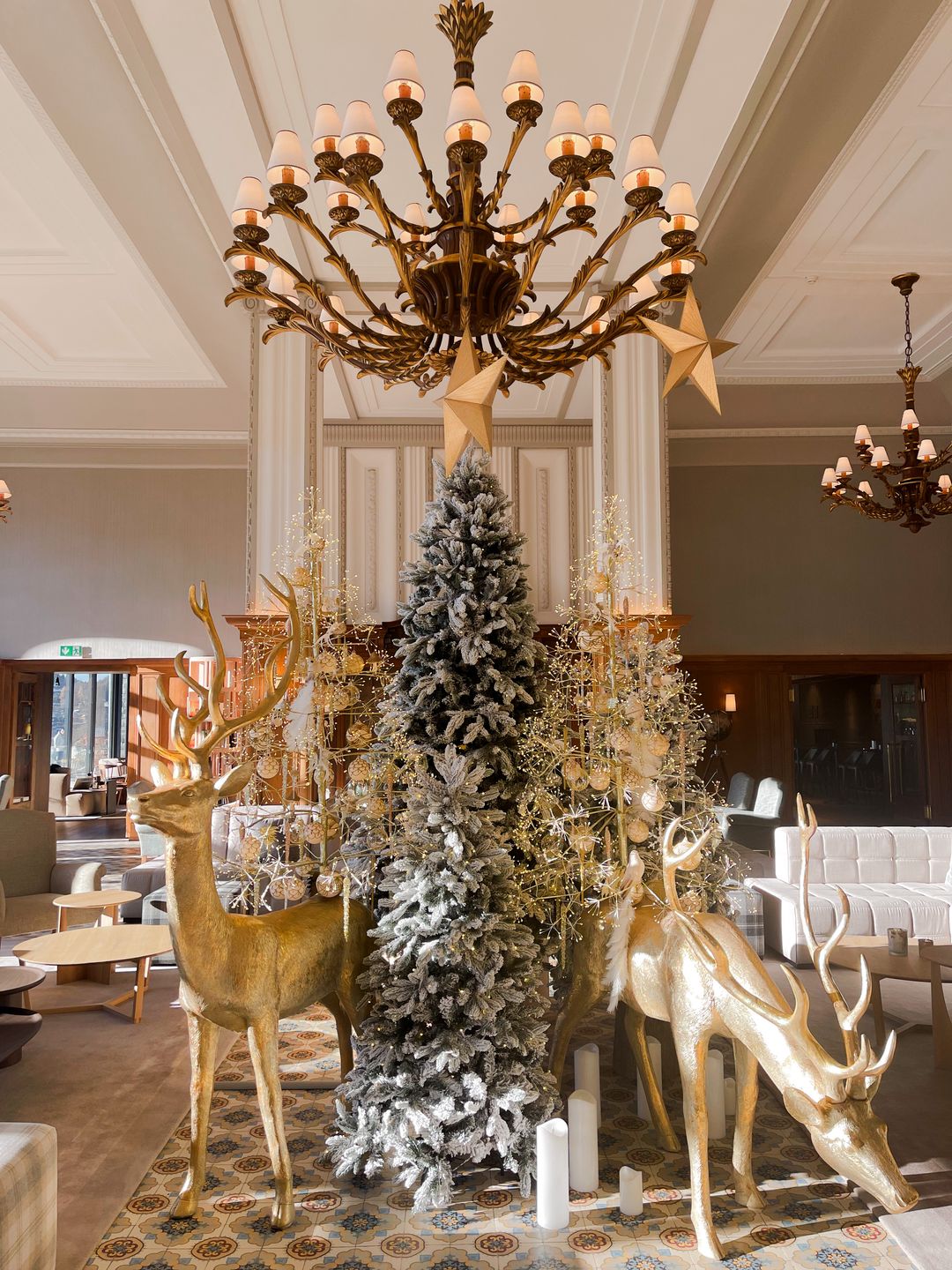 Villars Lodge: A laid-back Swiss Lodge, where casual meets trendy.