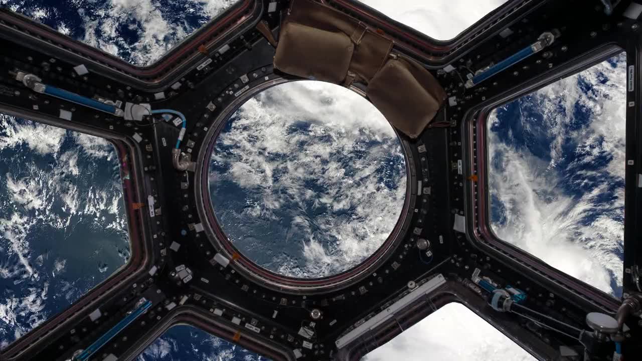 Human Reproduction in Space I SpaceBorn United