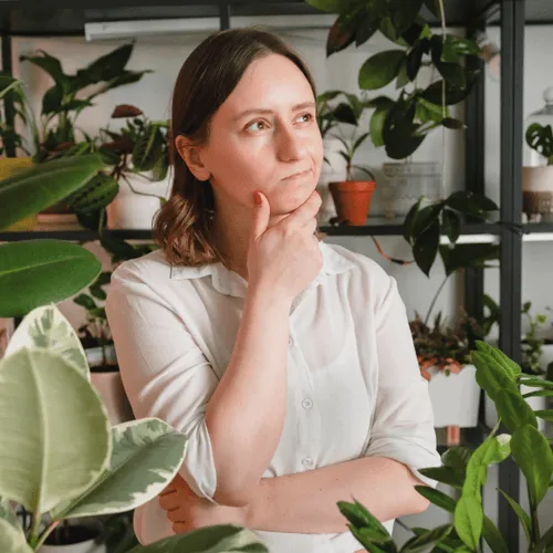 Krado | Sense your plant’s needs with leaflet