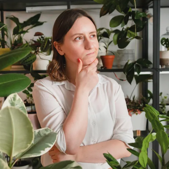 Krado | Sense your plant’s needs with leaflet