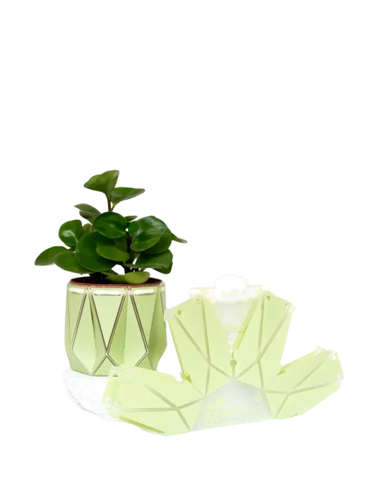 Krado | Sense your plant’s needs with leaflet