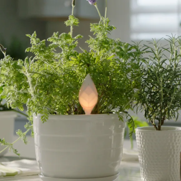 Krado | Sense your plant’s needs with leaflet