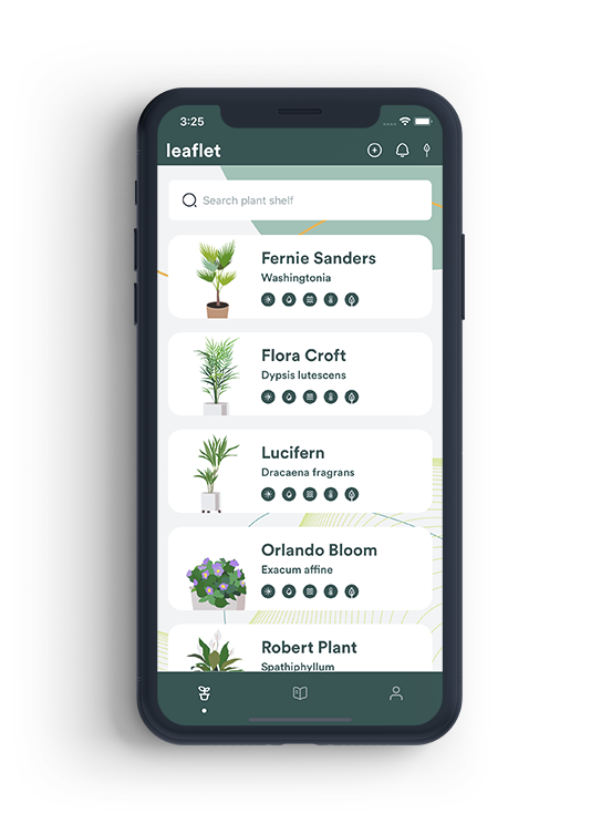 Krado | Sense your plant’s needs with leaflet