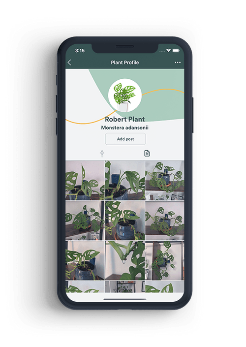 Krado | Sense your plant’s needs with leaflet