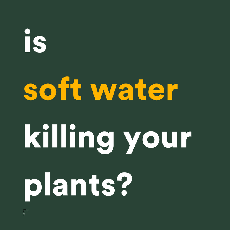 Krado | Sense your plant’s needs with leaflet