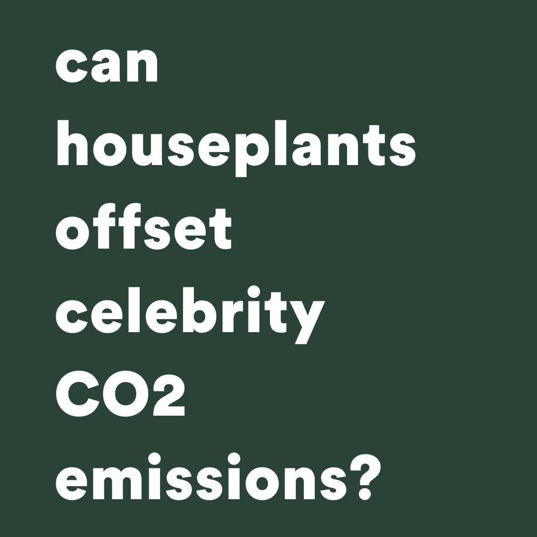 Krado | Sense your plant’s needs with leaflet