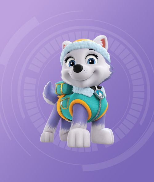 PAW Patrol | Everest