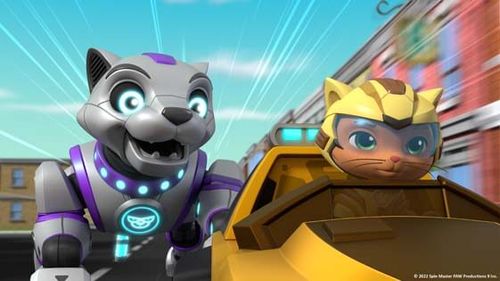 Season 9 902AB Pups Meet the Cat Pack